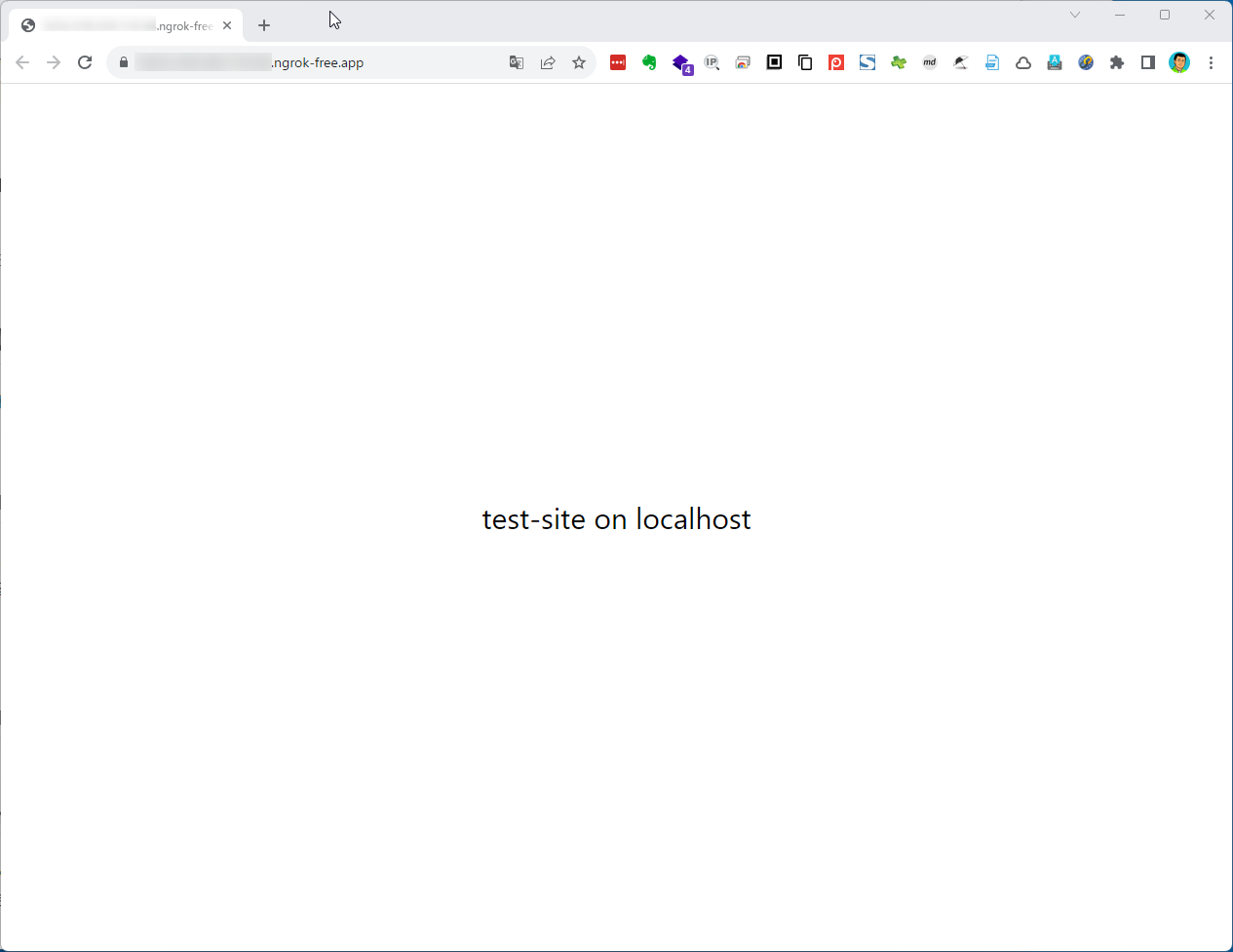 ngrok（エングロック）ローカルPC上で稼働しているサイトを外部公開できるサービスを使ってみた | TOMONO Tech-Blog