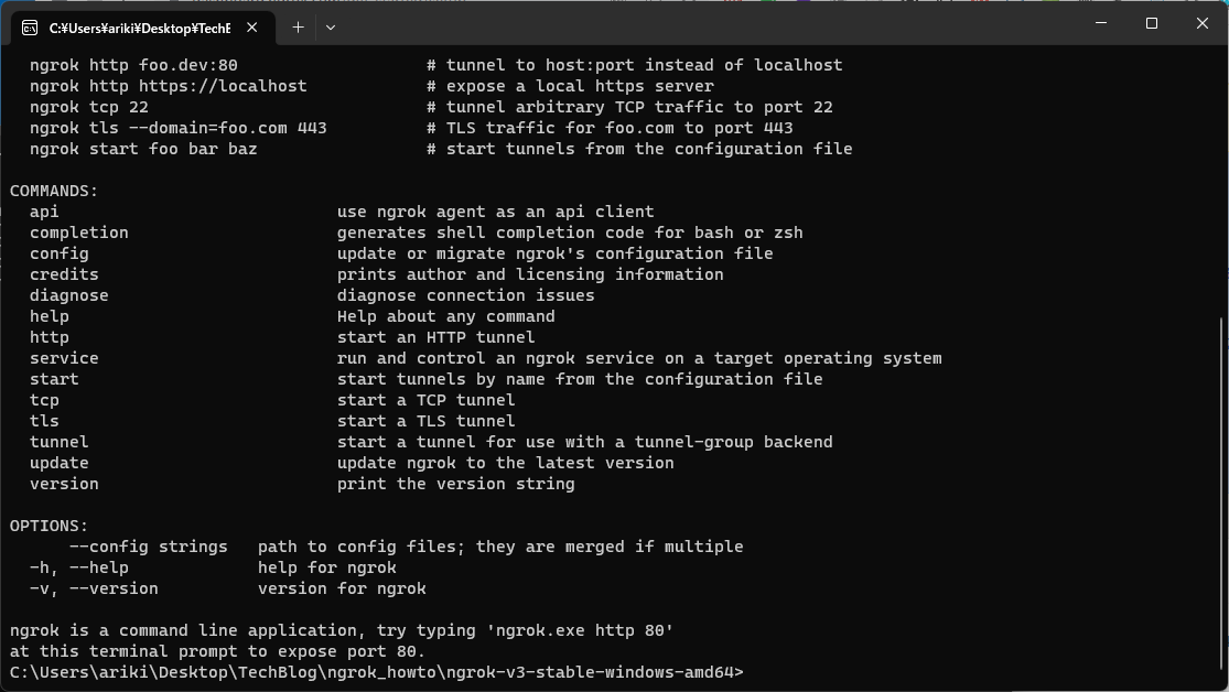 ngrok（エングロック）ローカルPC上で稼働しているサイトを外部公開できるサービスを使ってみた | TOMONO Tech-Blog